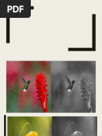 LitCharts Fame Is A Fickle Food | PDF | Metre (Poetry) | Poetry