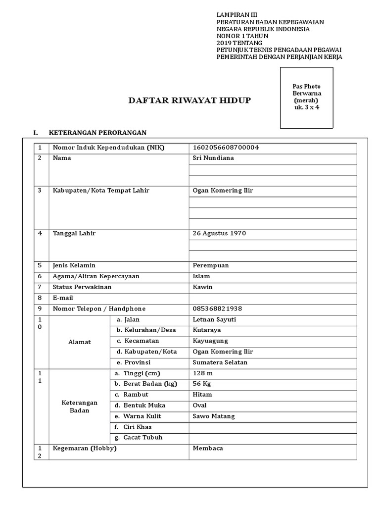 Contoh Daftar Riwayat Hidup PNS | PDF