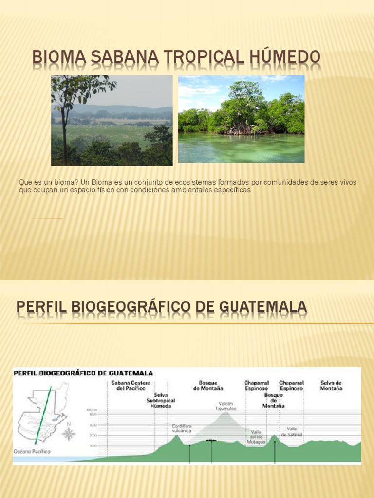 Bioma Sabana Tropical Humeda | PDF