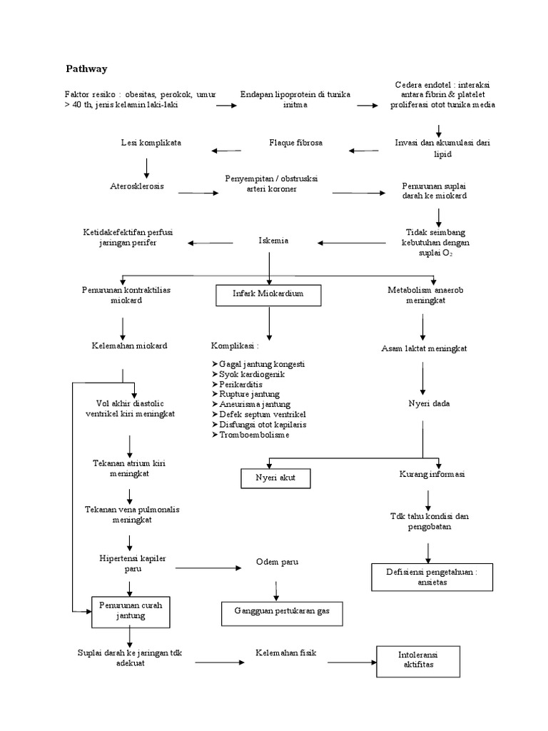 Pathway Aterosklerosis dan Infark Miokardium | PDF