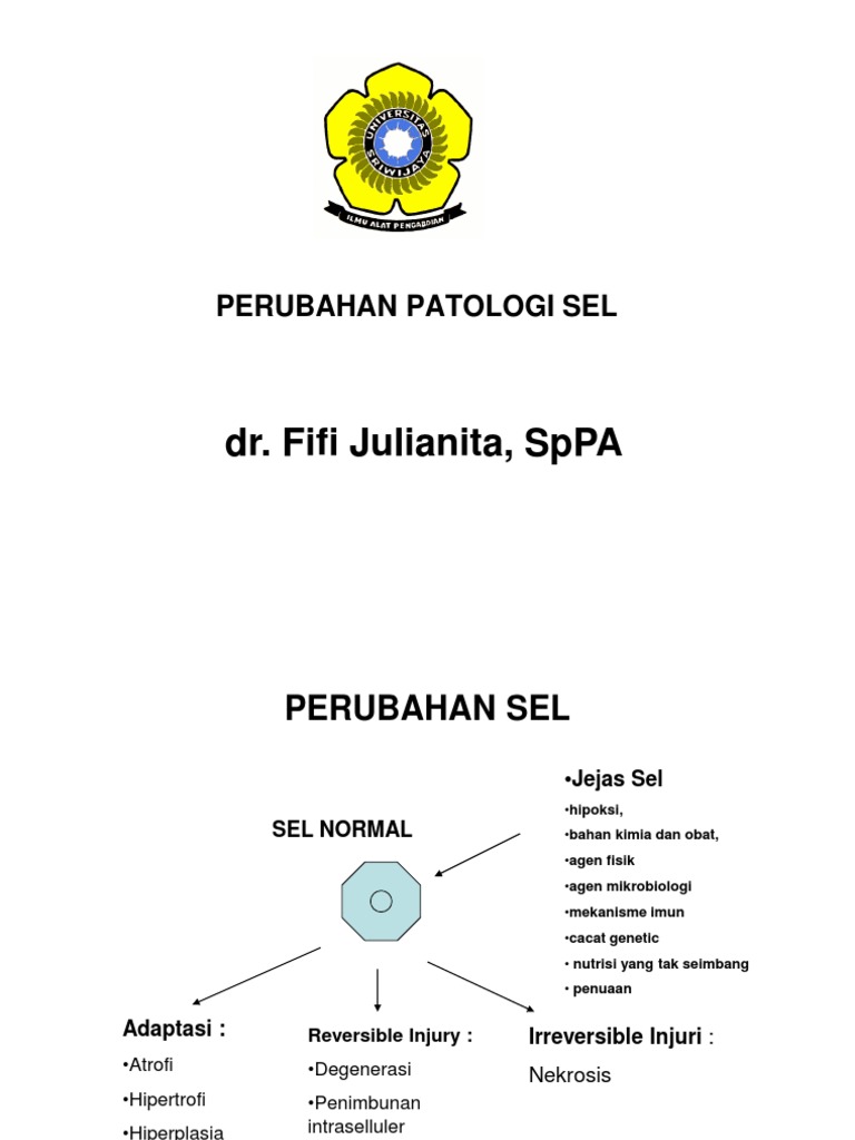Adaptasi, Jejas Sel, Nekrosis Dan Apoptosis - FIF | PDF