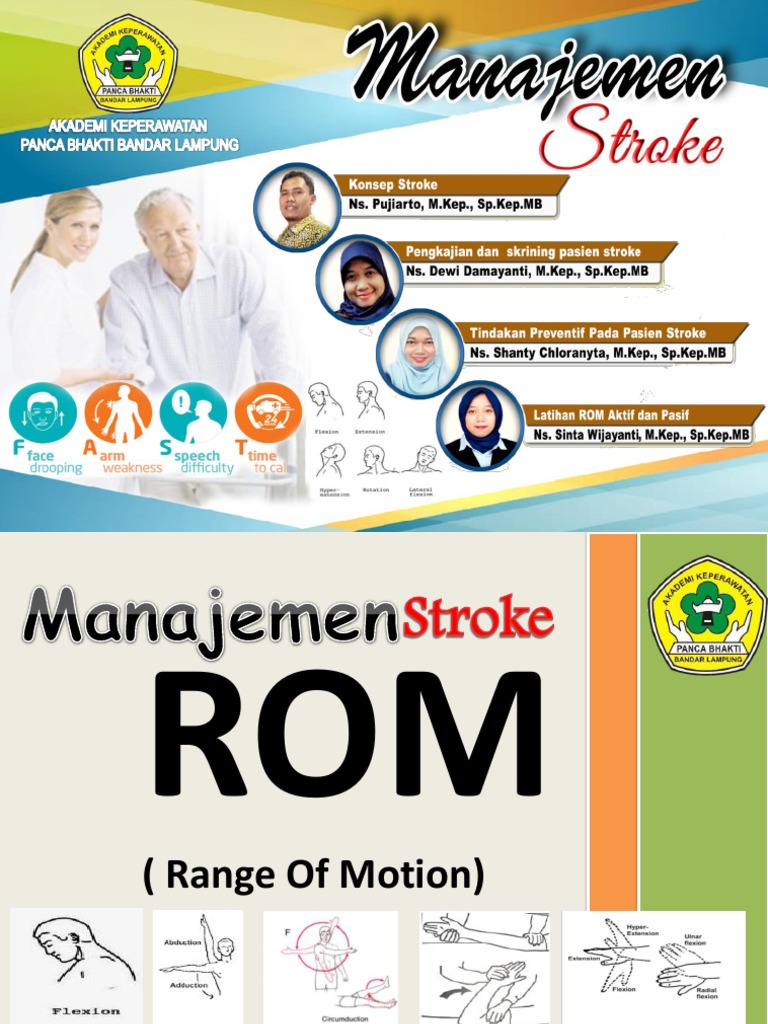 Rom Stroke | PDF