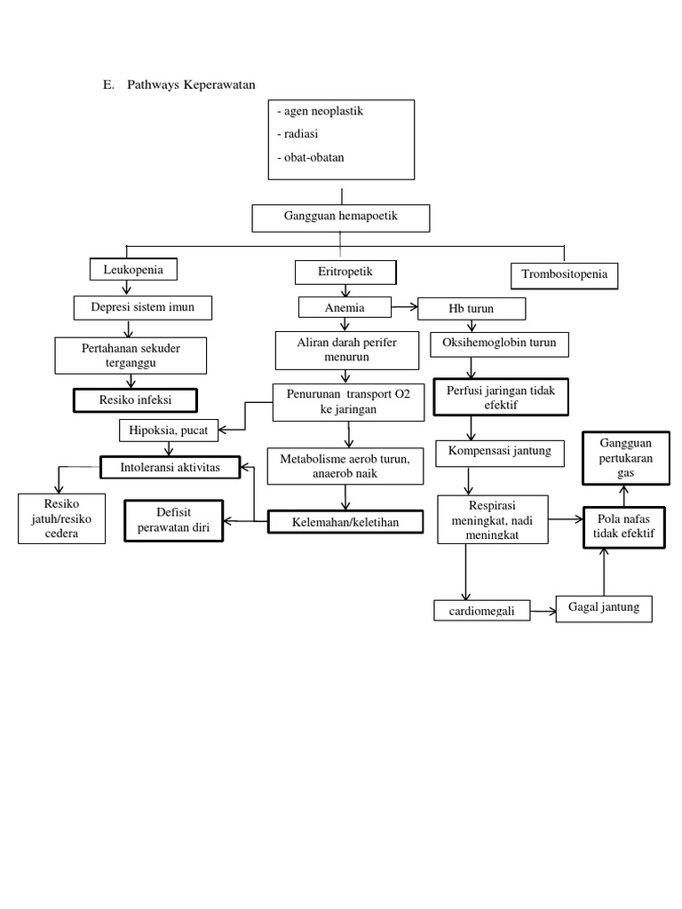 Pathways Keperawatan Anemia | PDF