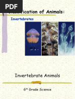 Invertebrate Classification Overview | PDF | Invertebrate | Biology