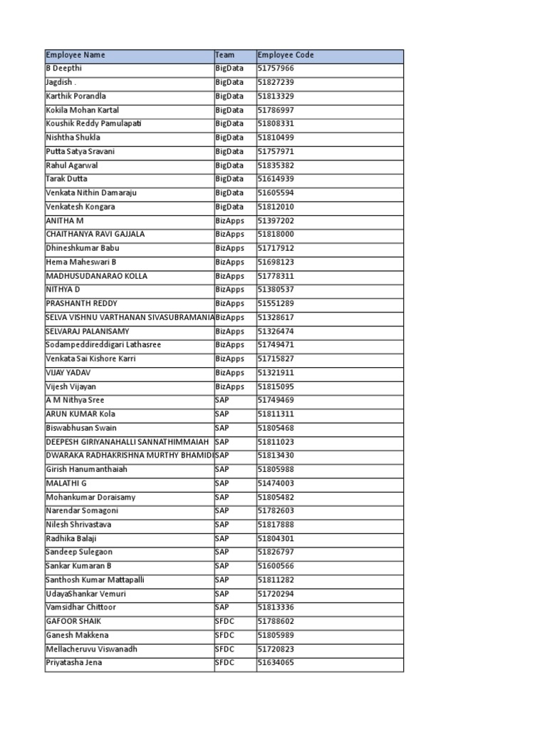Team Member List Overview | PDF