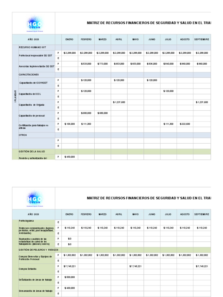 Matriz de Recursos SST - 2020 | PDF