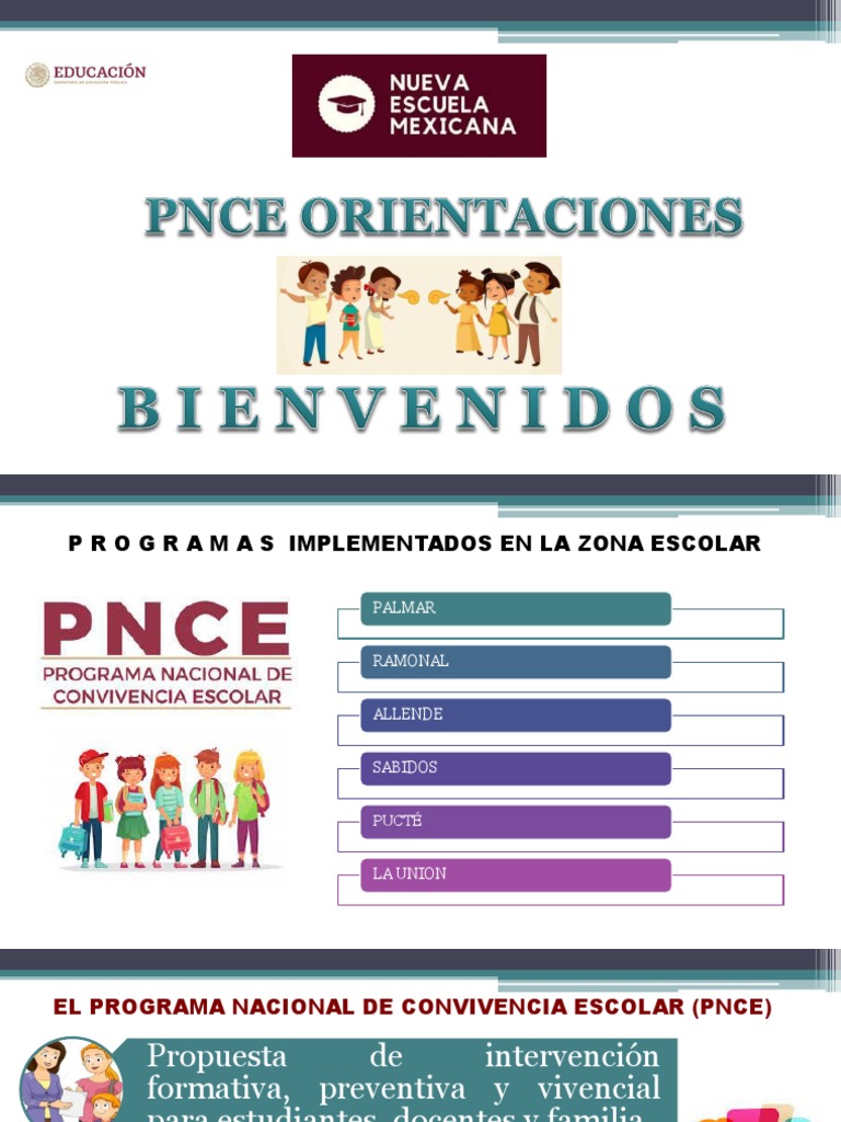 Pnce Orientaciones 2020 | PDF | Educación de la primera infancia ...