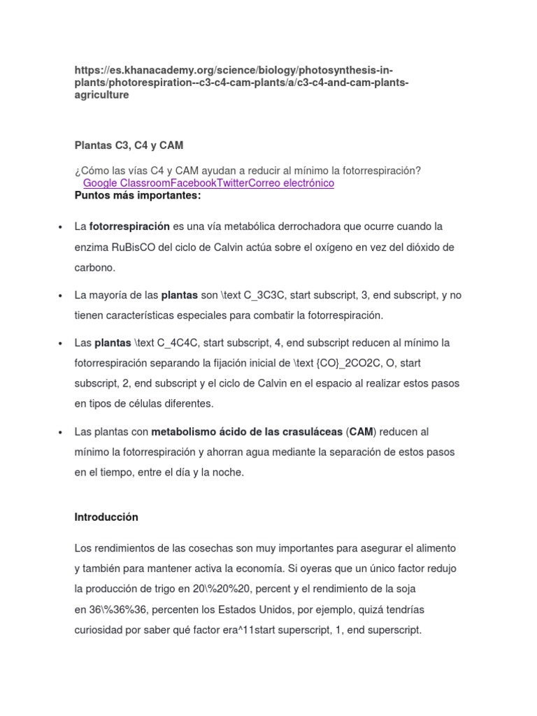 Metabolismo Plantas C3 C4 y Cam | PDF | Tecnología