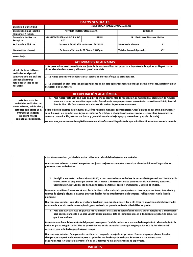 Bitácora Prácticas Profesionales | PDF