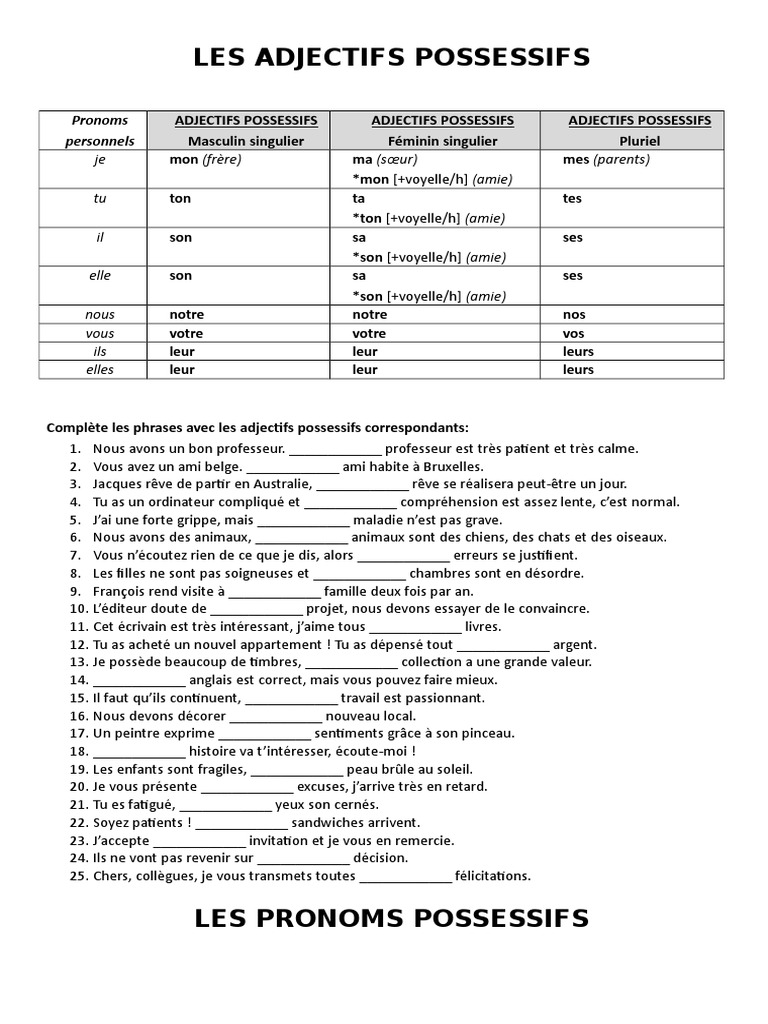 Grammaire Les Adjectifs Possessifsles Pronoms Possessifs Le FLE En Un