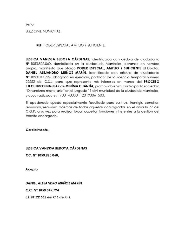 Poder Especial para Proceso Judicial | PDF