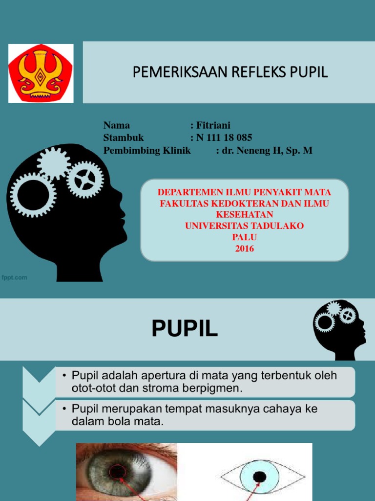 Pemeriksaan Refleks Pupil | PDF | Sains & Matematika