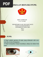 Pupil Isokor dan Anisokor: Penjelasan | PDF