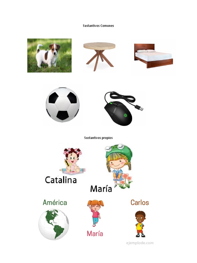 Sustantivos Comunes | PDF