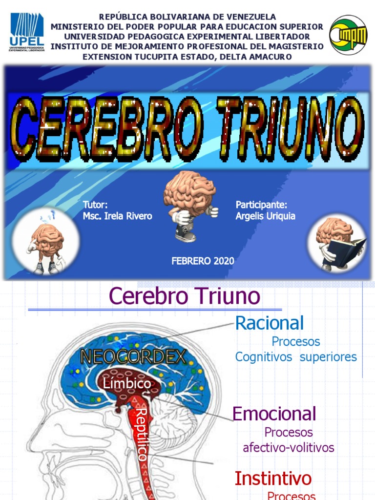 Cerebro Triuno | PDF