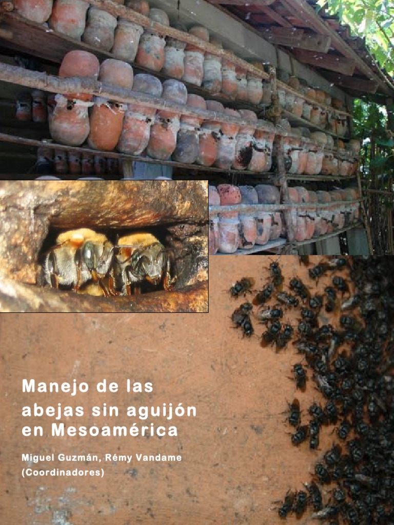 Manejo Manual ANSA Mesoamerica | PDF | Tecnología