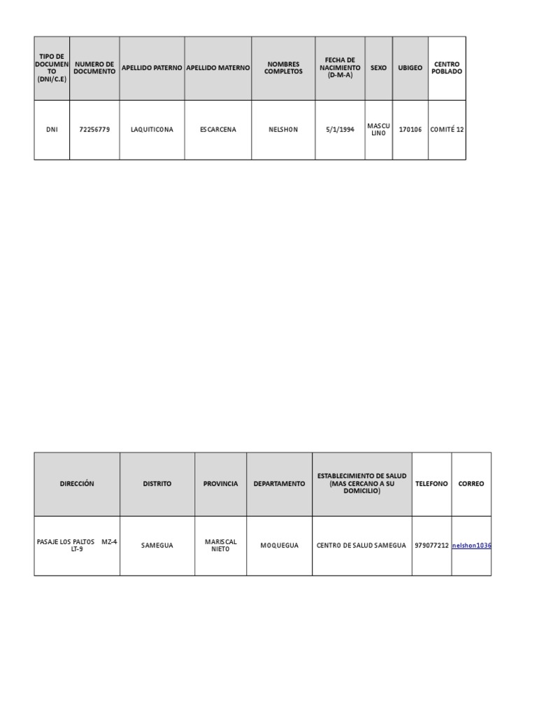 Modelo Formato Sis 2020 | PDF