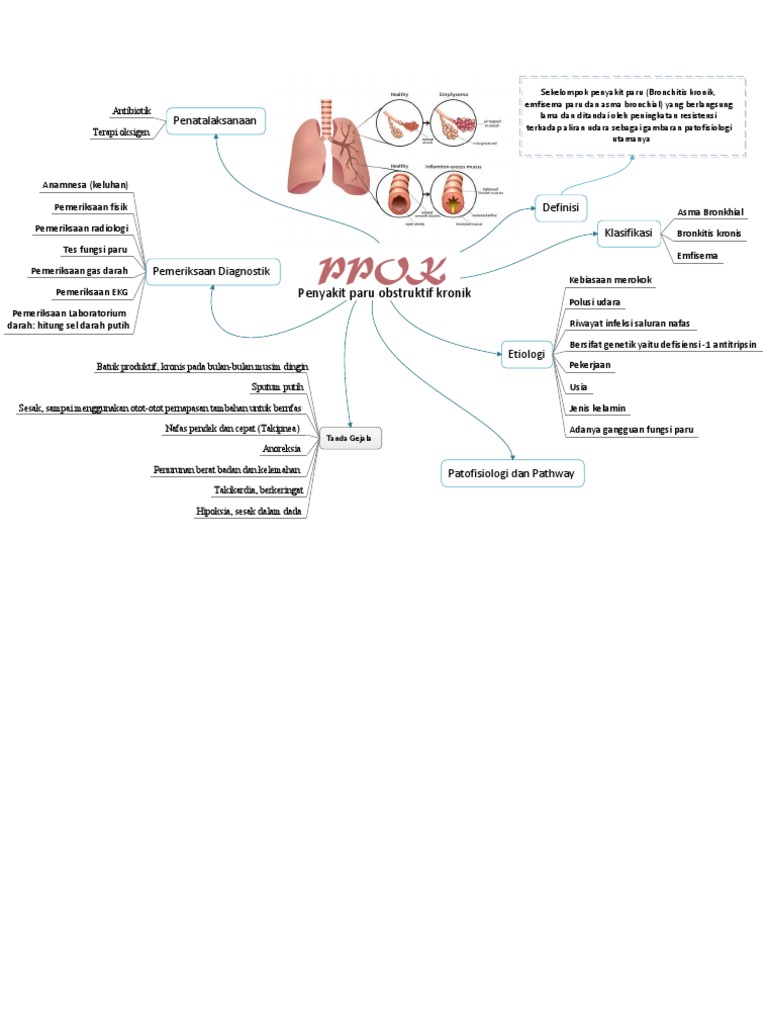 Panduan Penyakit Paru Obstruktif Kronik | PDF