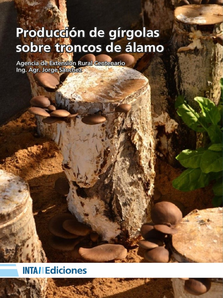 Cultivo De Hongo Pdf Hongo Plantas