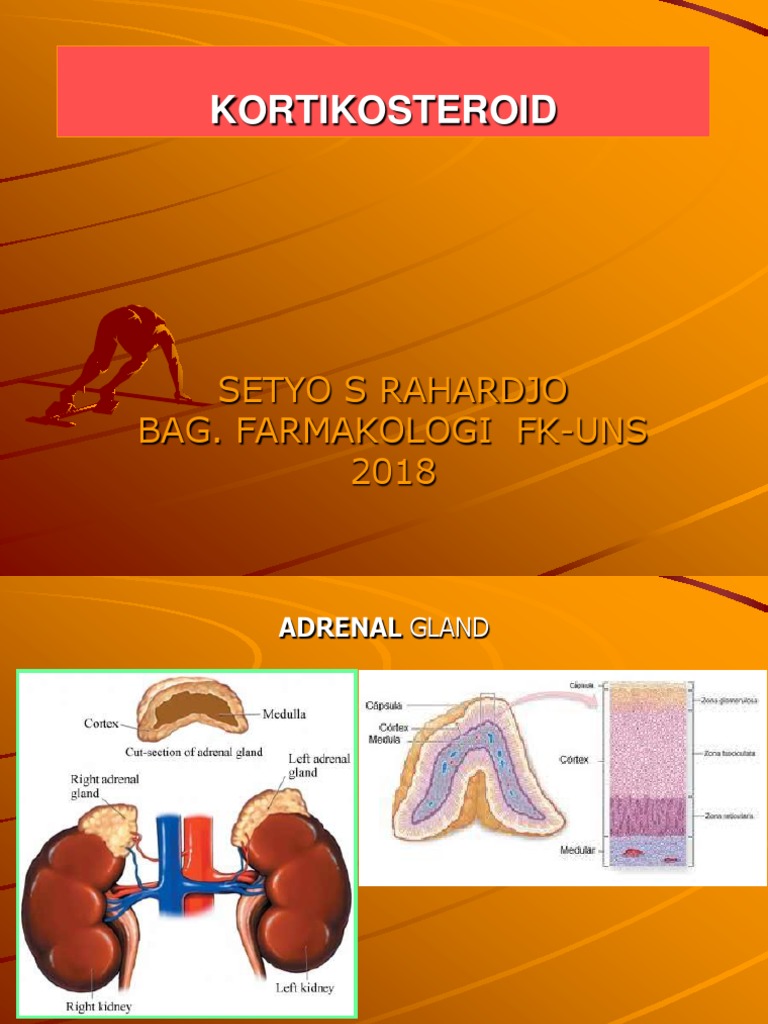 Khasiat dan Efek Kortikosteroid | PDF