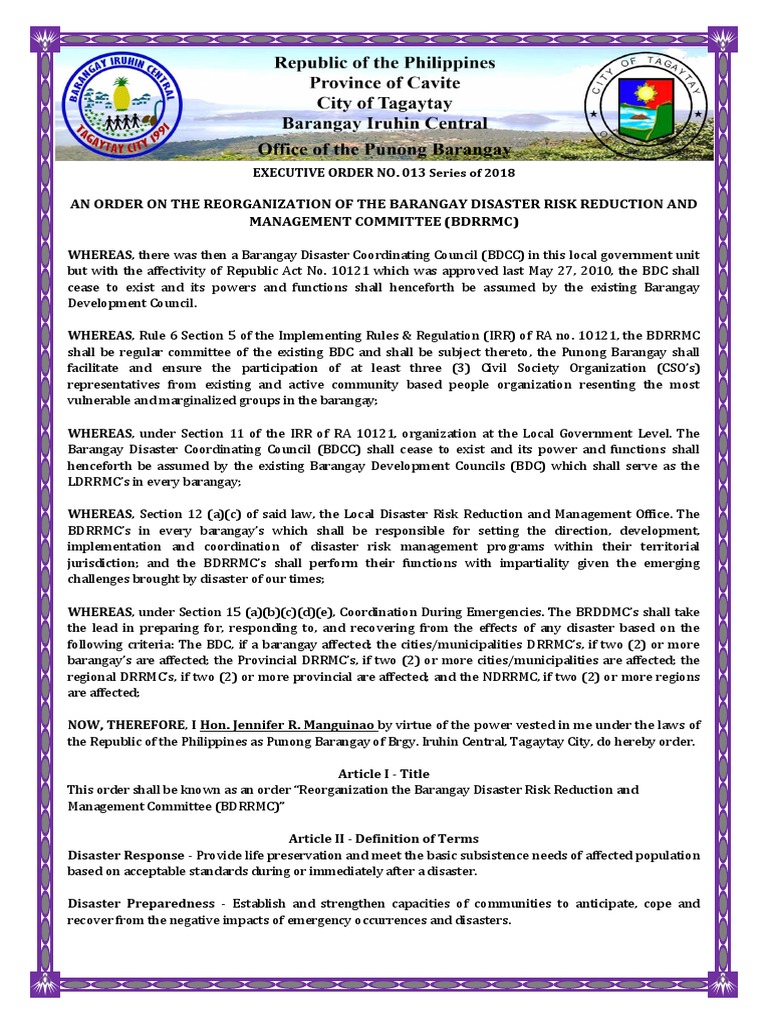 Reorganizing the Barangay Disaster Risk Reduction Committee | PDF ...