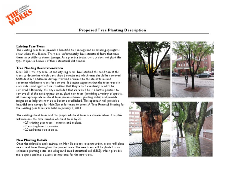 Tree Planting | PDF | Science & Mathematics