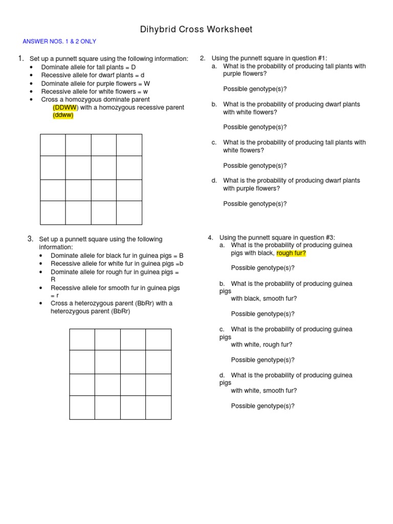 Dihybrid Cross Worksheet Pdf Zygosity Dominance Genetics