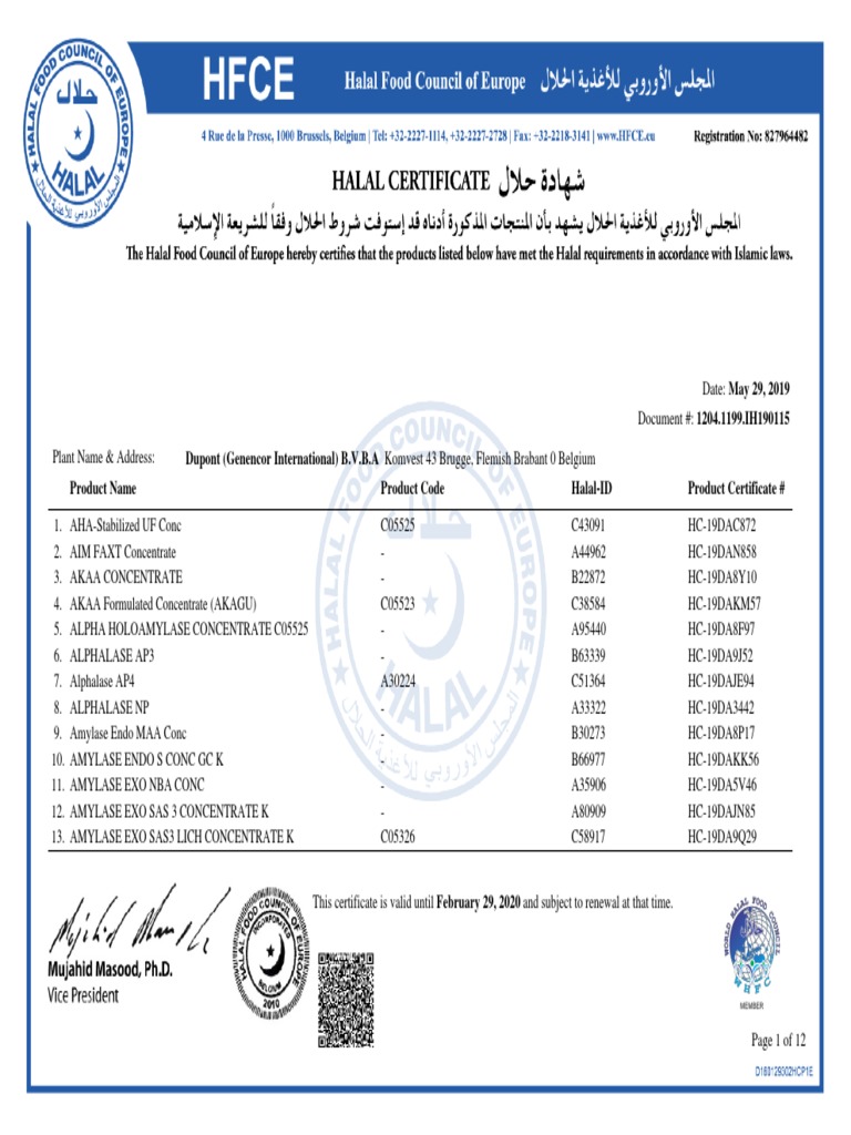 Brugge HFCE 5-19 | PDF