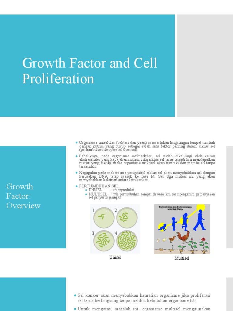 Grow Factor PDF | PDF