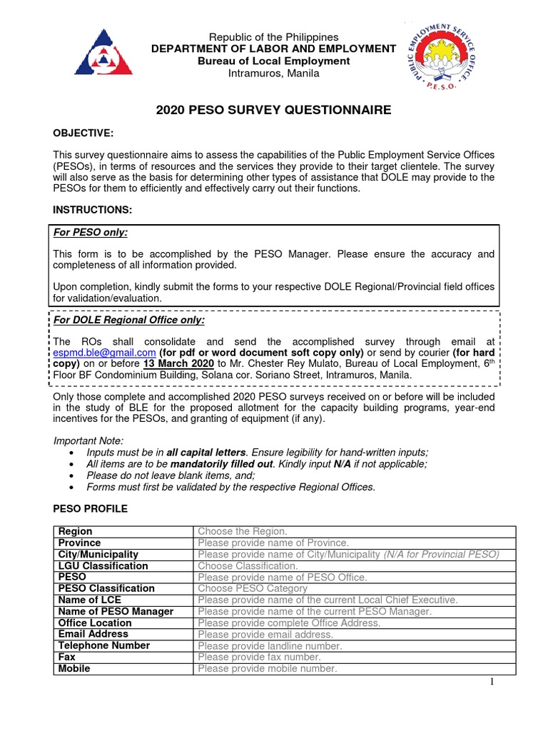2020 PESO Survey Questionnaire Guide | PDF