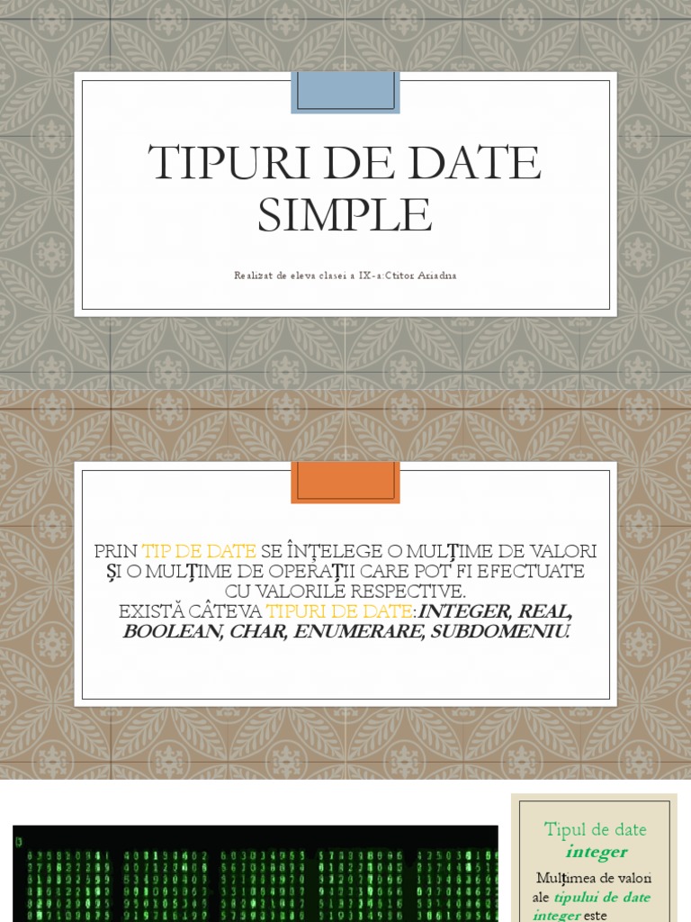 Tipuri de Date | PDF