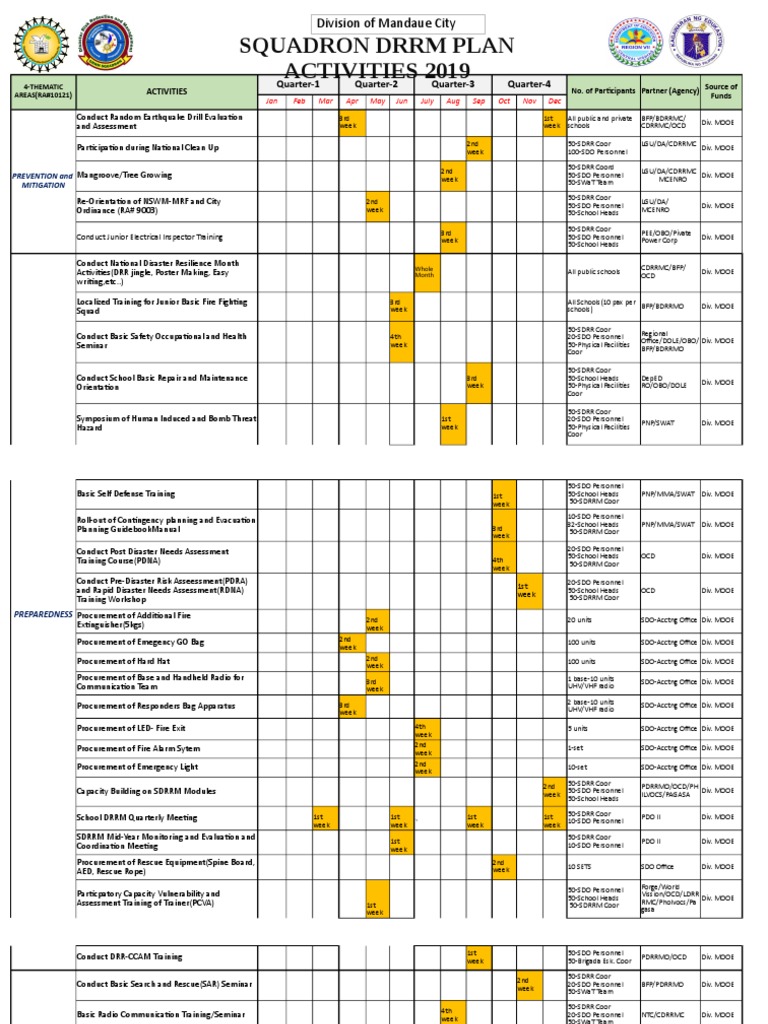 DIVISION DRRM PLAN 2019 - Rev.01 | PDF