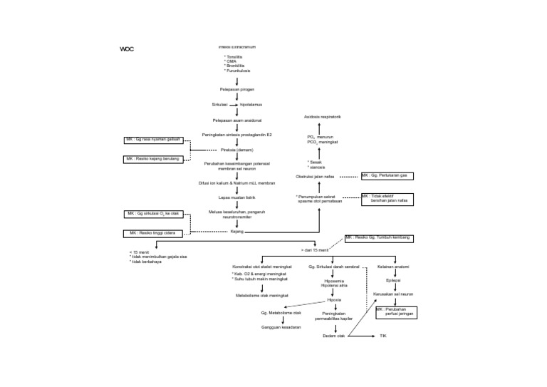 WOC Demam Kejang | PDF