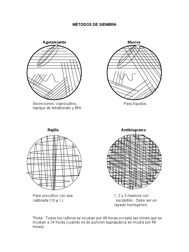MÉTODOS DE SIEMBRAS2