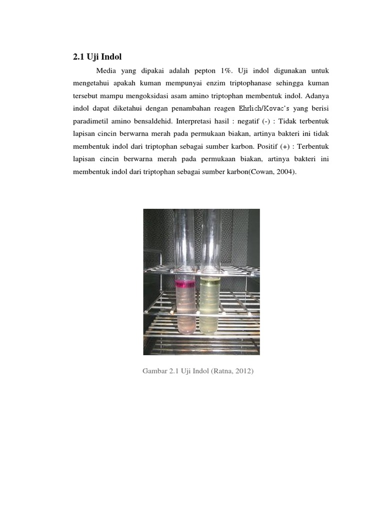 Uji Indol | PDF | Pengembangan Diri | Kesehatan Holistik