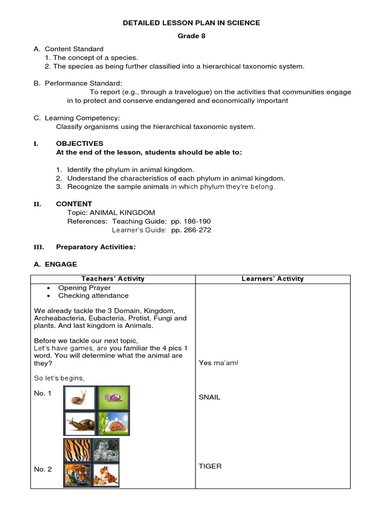 Animal Kingdom - Demo | PDF | Science & Mathematics