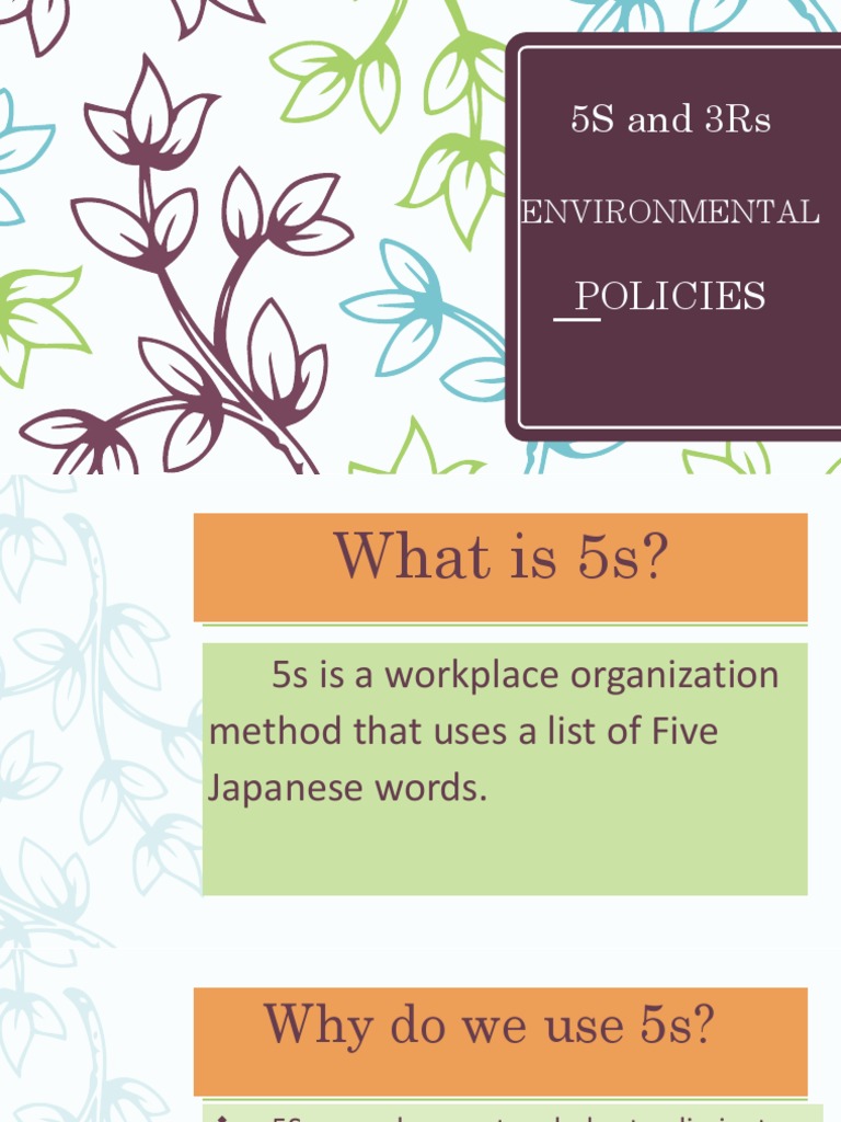 5S and 3Rs in Environmental Policies | PDF