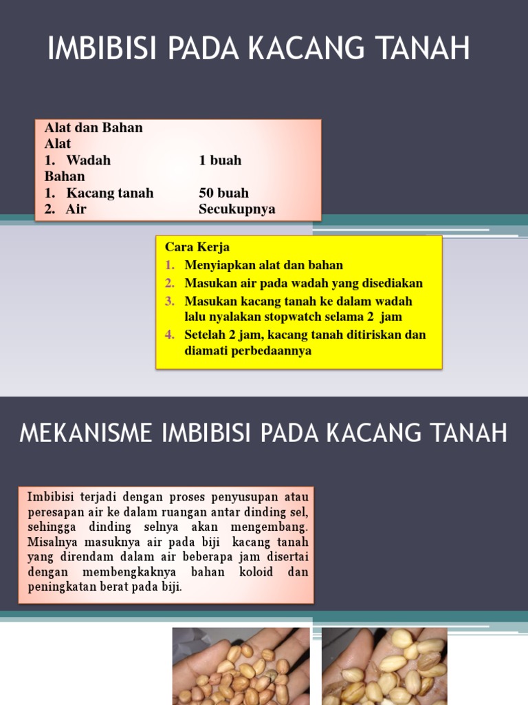 Proses Imbibisi pada Kacang Tanah | PDF | Sains & Matematika