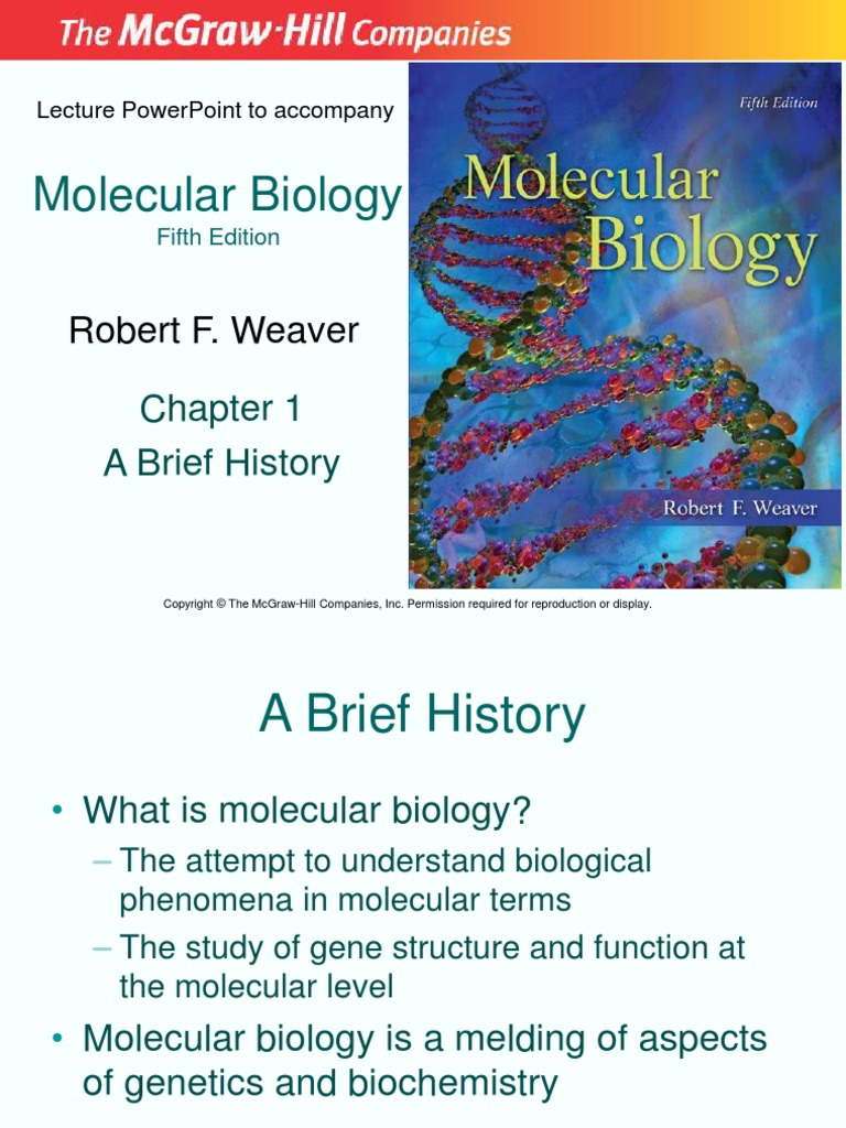 Chapter 01 Lecture | PDF | Wellness