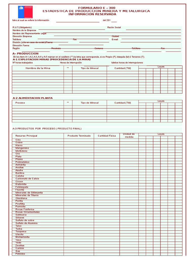 Instrucciones Formulario 300 E | PDF