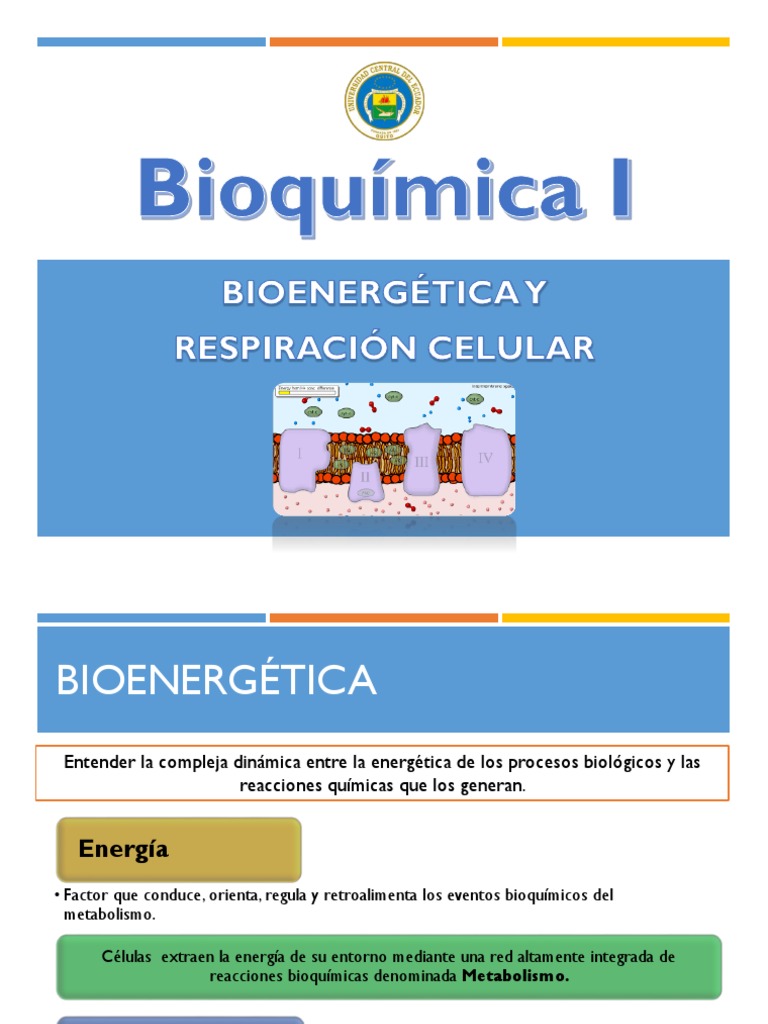 Ii 5 Bioenergética y Respiracion Celular | PDF