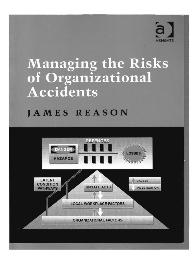 P1 - Managing The Risks | PDF