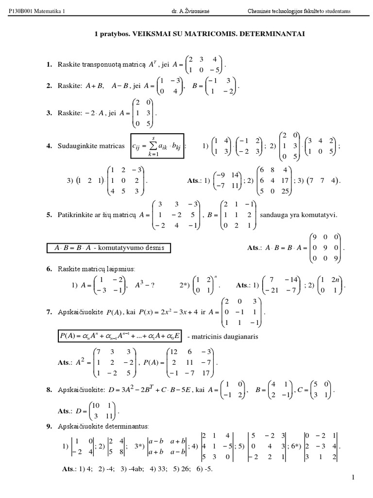 1,2 Pratybos. Matricos | PDF