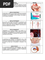 Composición y funciones del meconio | PDF | Placenta | Feto