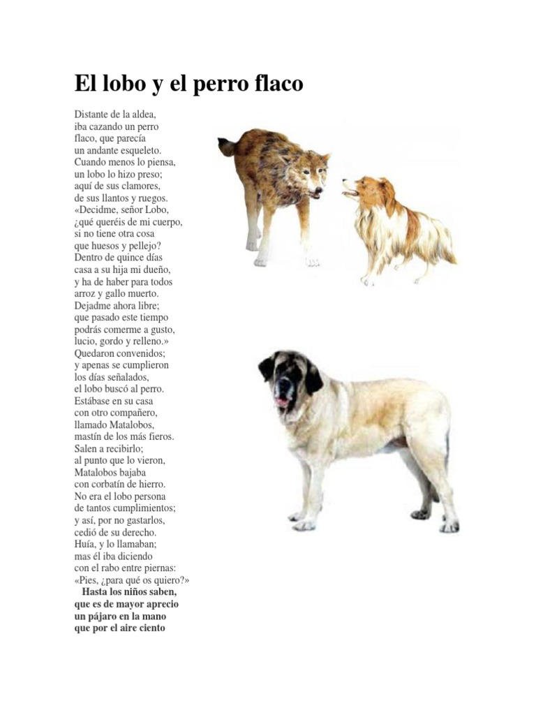 El Lobo y El Perro Flaco | PDF