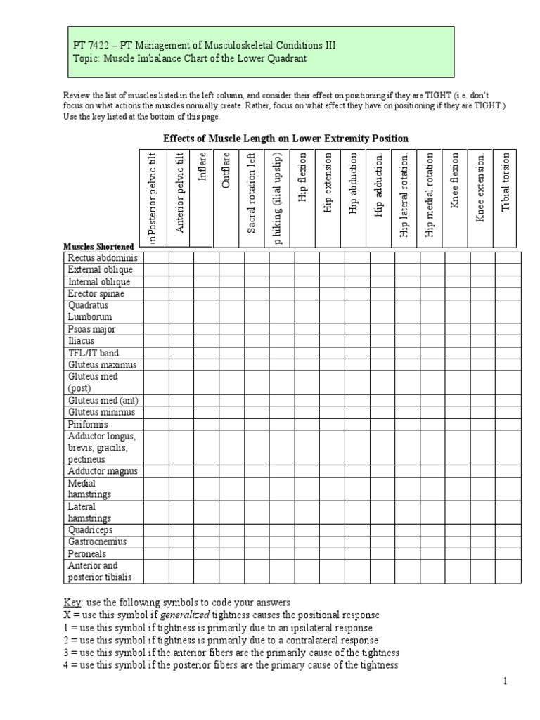 Lower Quadrant Muscle Imbalance Chart | PDF | Joints | Soft Tissue