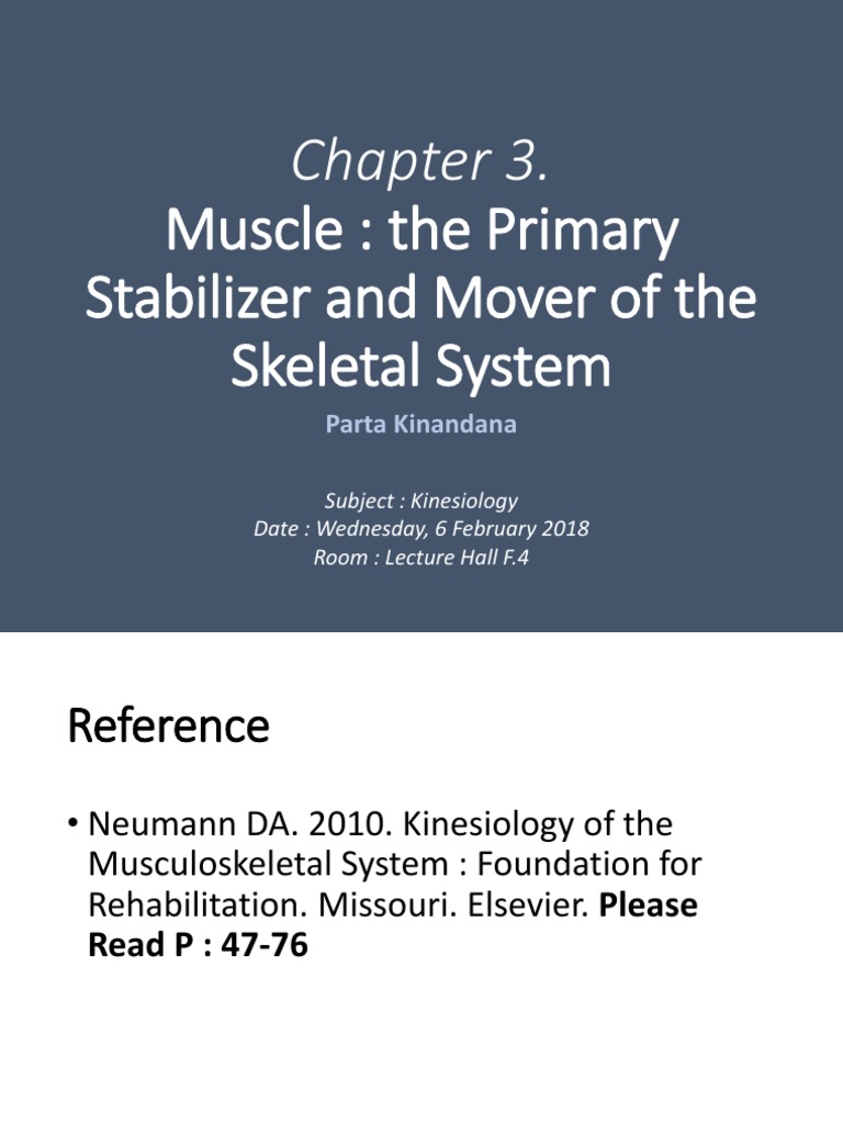 Chap 2. Muscle. The Primary Stabilizer and Mover of The Skeletal System ...