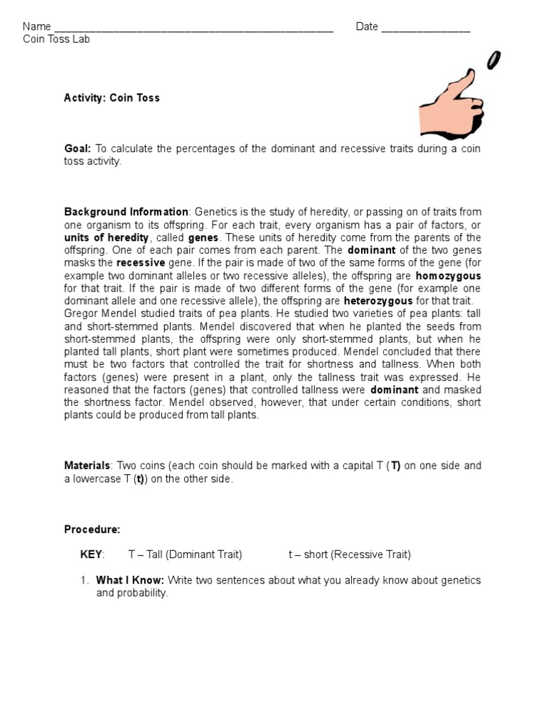 Coin Toss Lab | PDF | Dominance (Genetics) | Zygosity