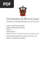 PIMSS 4T - 1T. Programa Institucional Del IMSS 2020-2024 | PDF ...