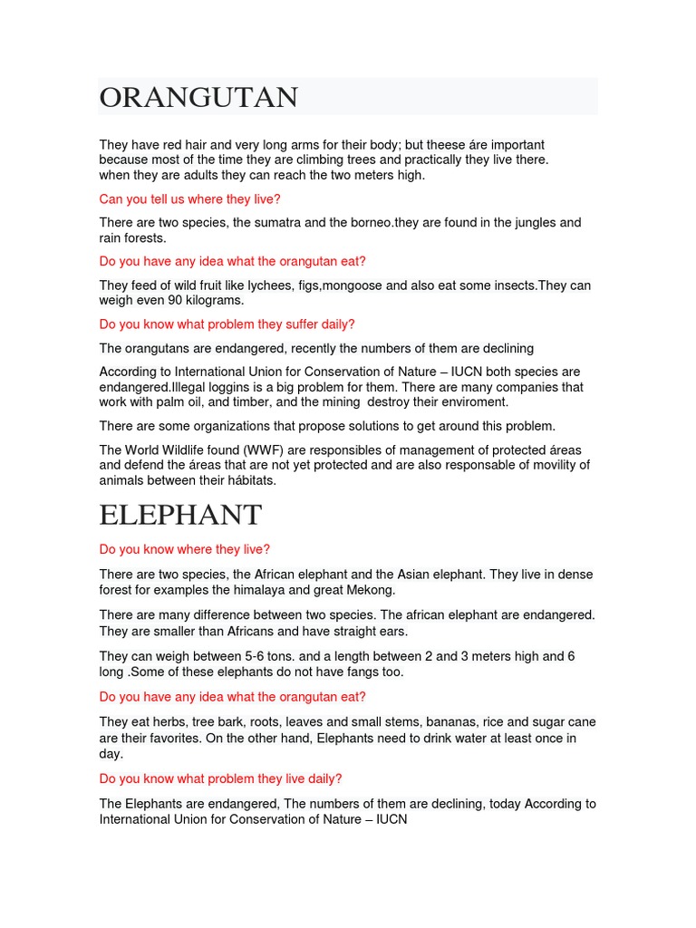 Orangutans & Elephants: Endangered Species Face Habitat Loss | PDF ...
